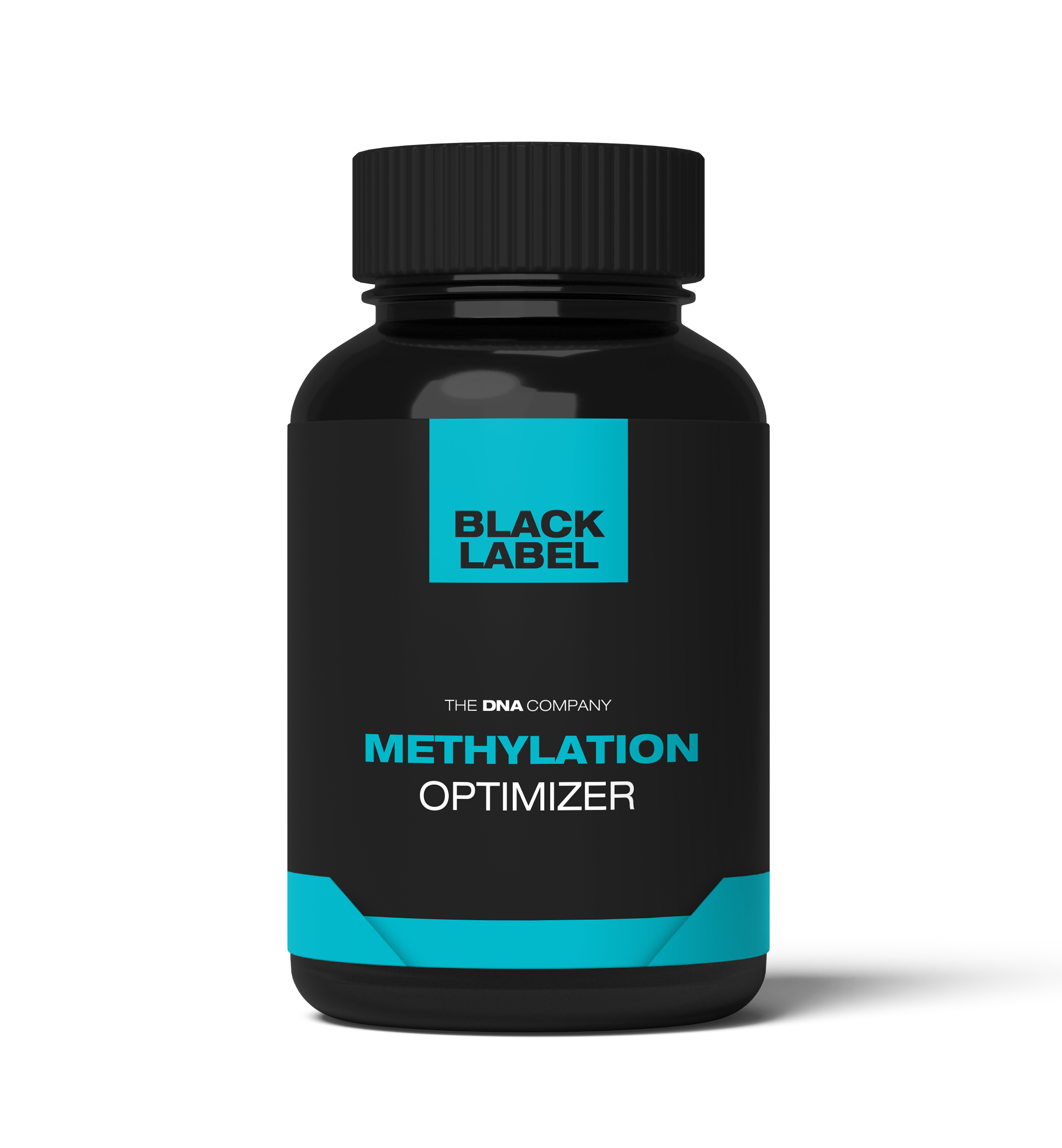 Methylation Optimizer – The DNA Company